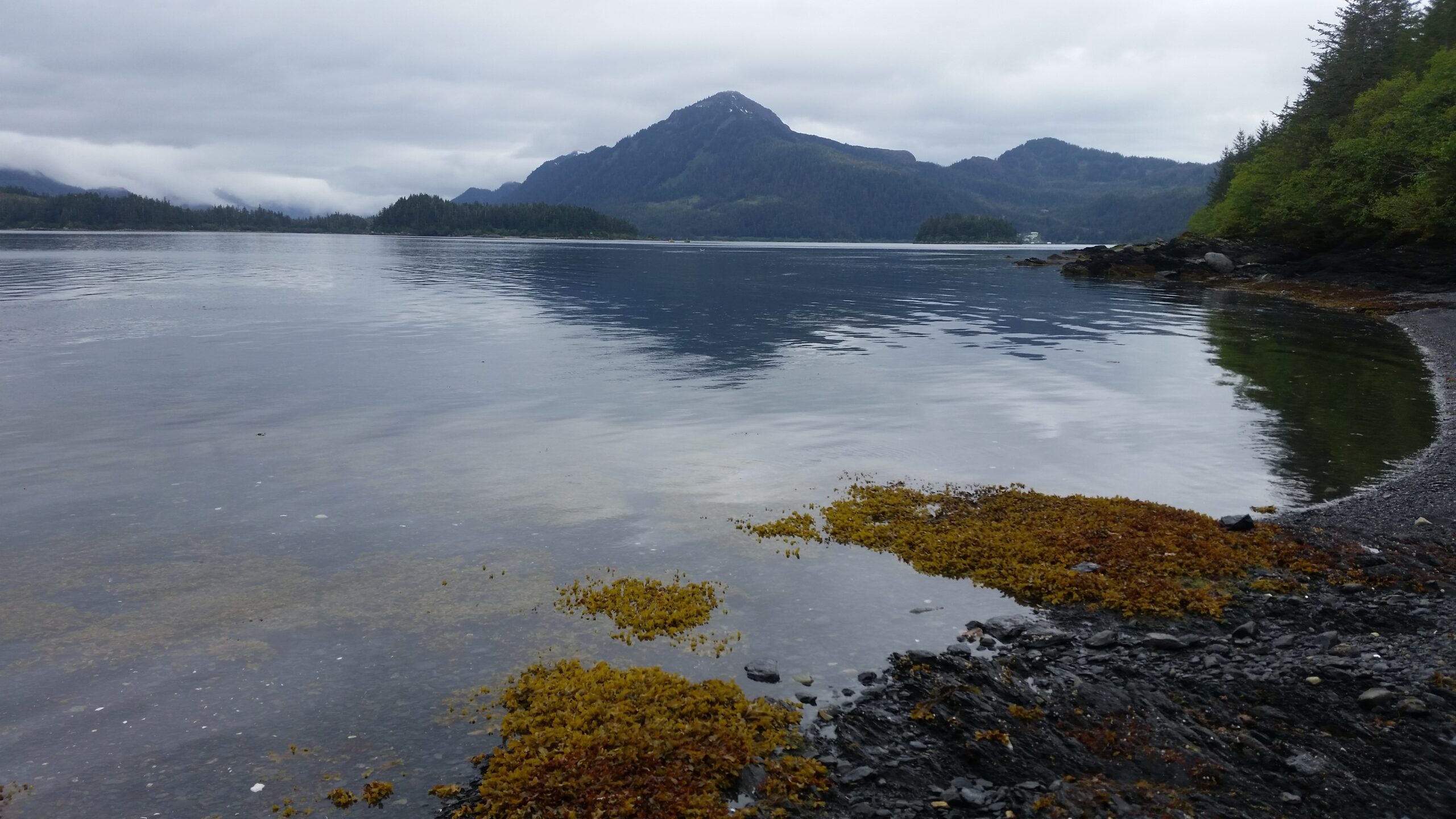 Community of Chenega | Prince William Sound Regional Citizens' Advisory ...