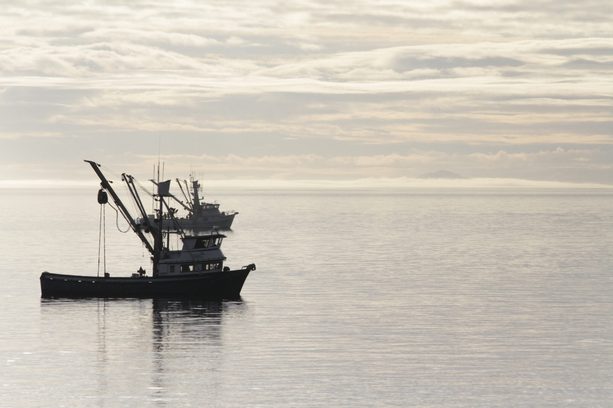 Prince William Sound Aquaculture Corp. (PWSAC) | Prince William Sound ...