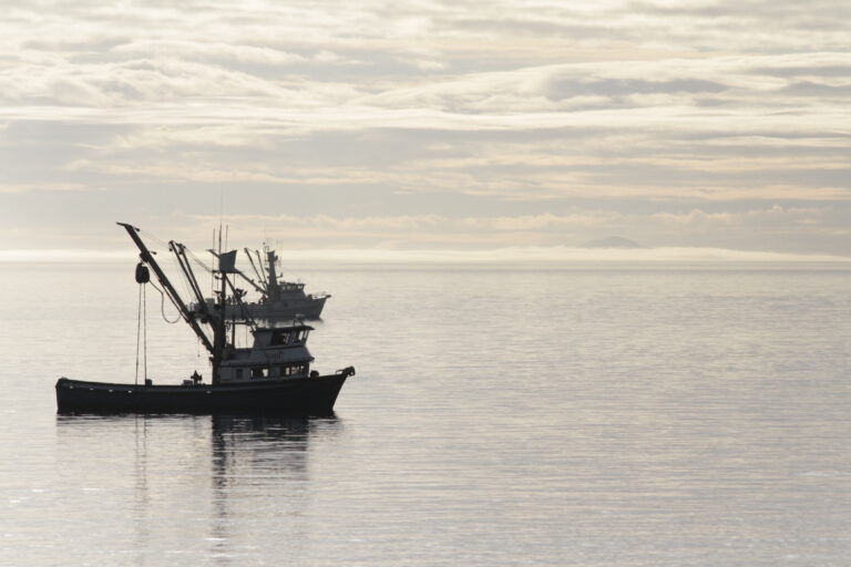 Prince William Sound Aquaculture Corp. (PWSAC) | Prince William Sound ...